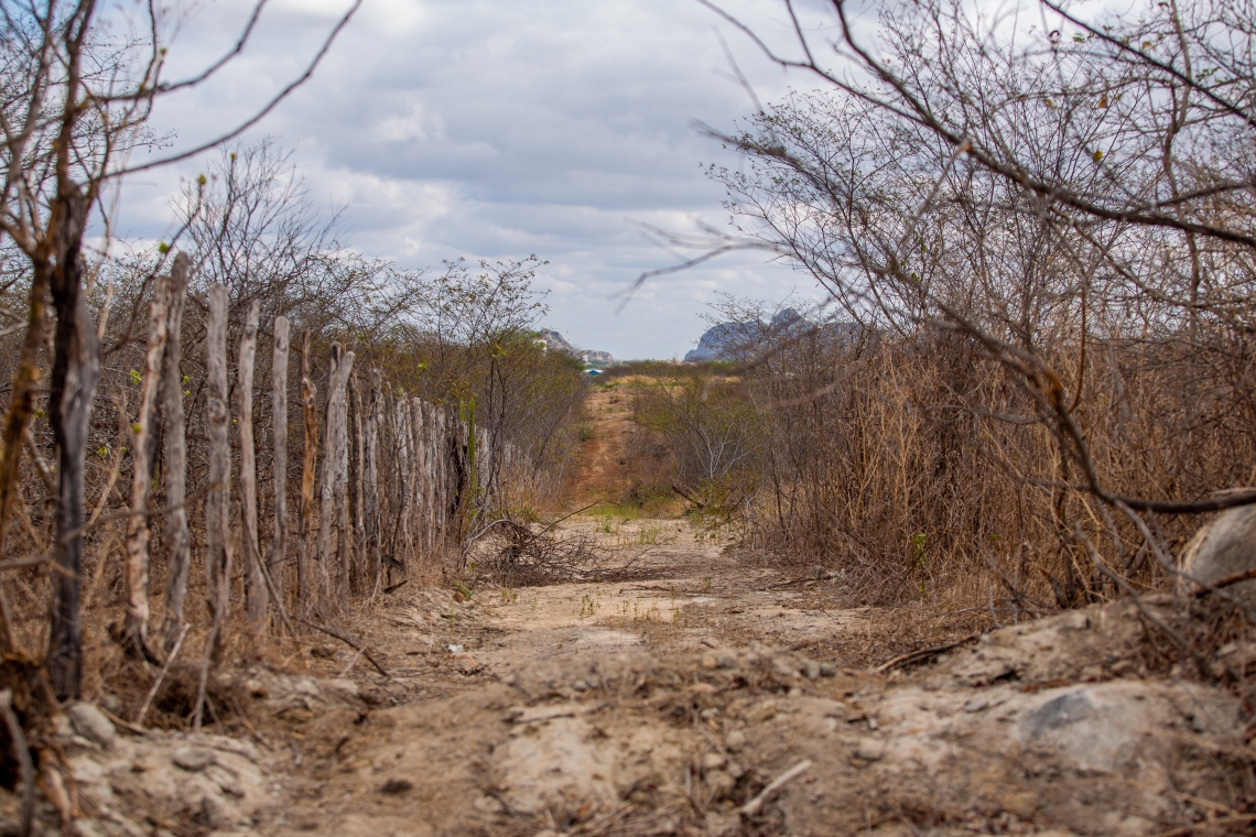 Área de seca quase dobra entre julho e agosto no Ceará | CIDADES | OPOVO+