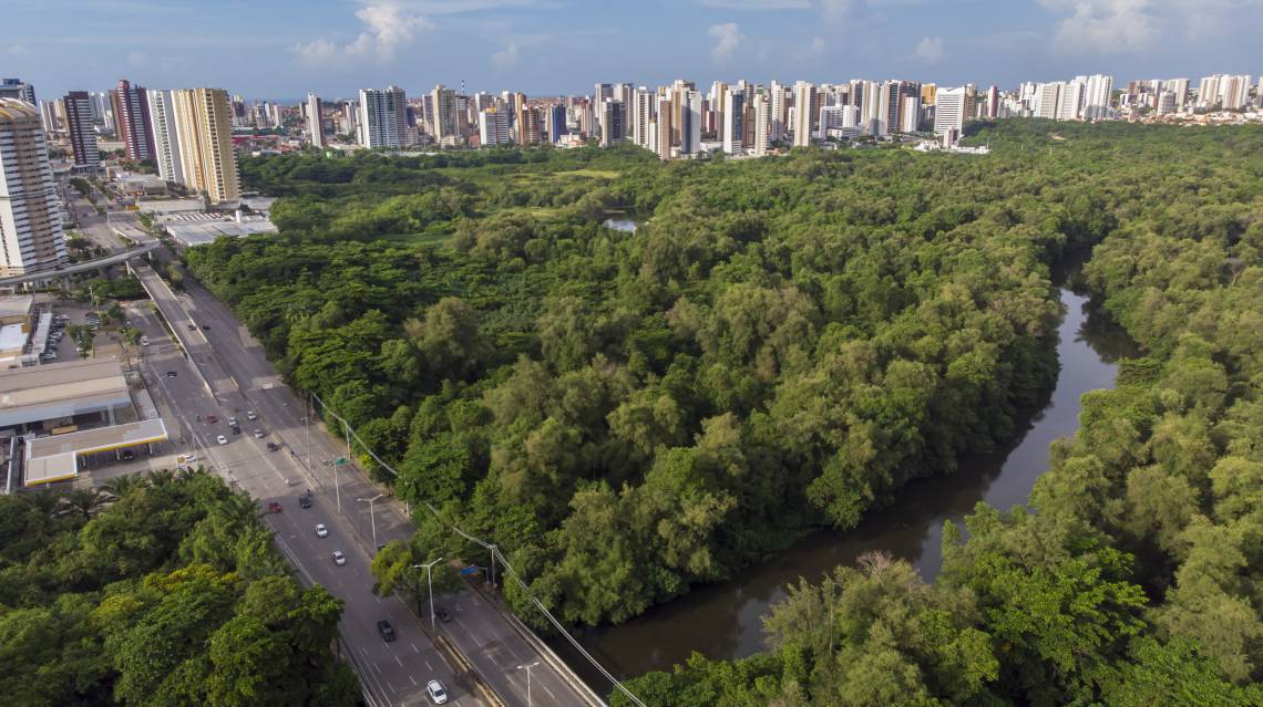 Área do Parque do Cocó é ampliada em 10 hectares | CIDADES | OPOVO+