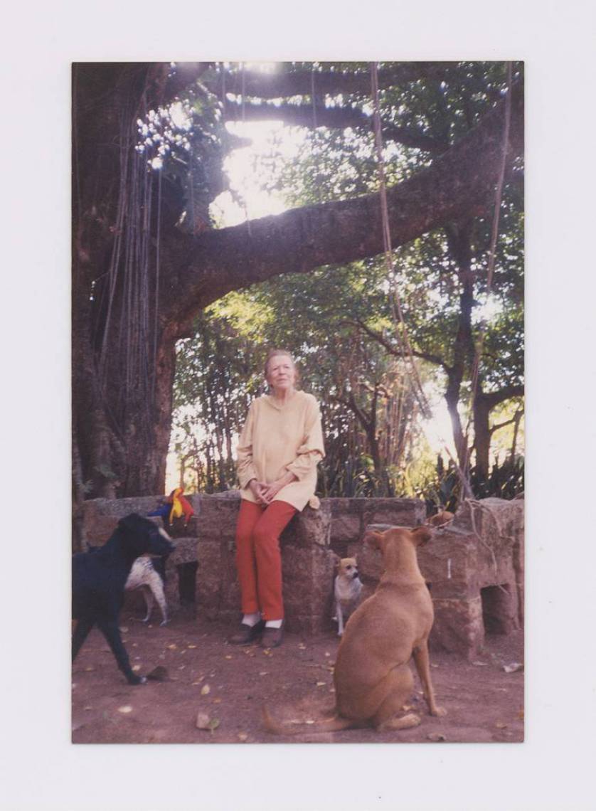 Nos 90 anos de Hilda Hilst, o Vida&Arte relembra a obra inquieta da ...