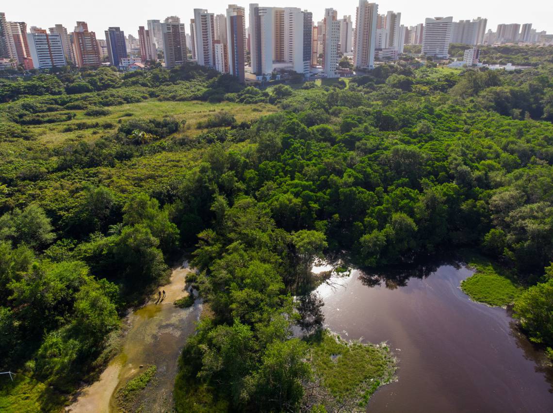 Área do Parque do Cocó é ampliada em 10 hectares | CIDADES | OPOVO+