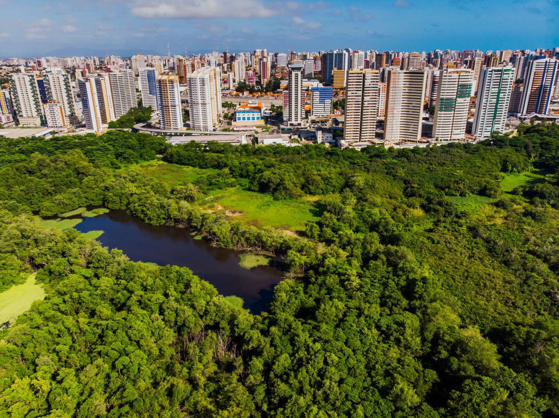 Área do Parque do Cocó é ampliada em 10 hectares | CIDADES | OPOVO+