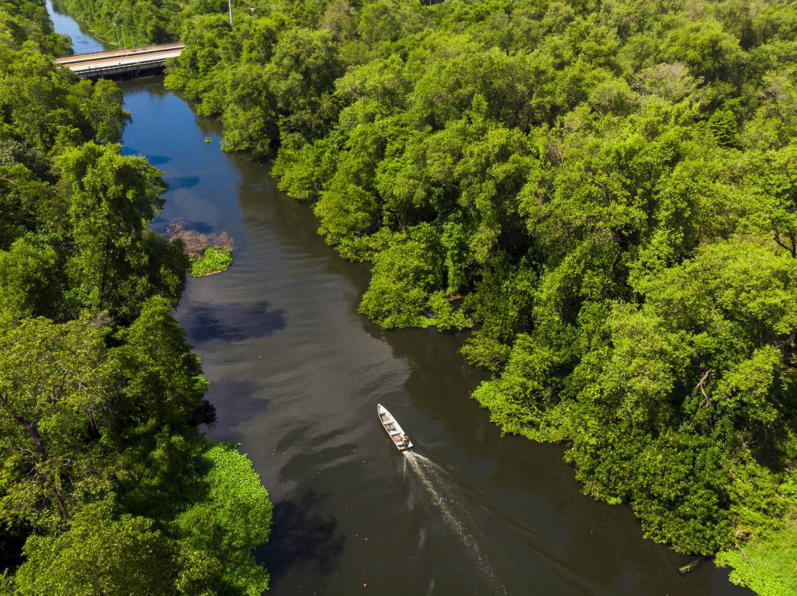 Área do Parque do Cocó é ampliada em 10 hectares | CIDADES | OPOVO+