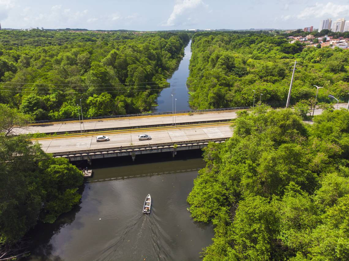 Área do Parque do Cocó é ampliada em 10 hectares | CIDADES | OPOVO+