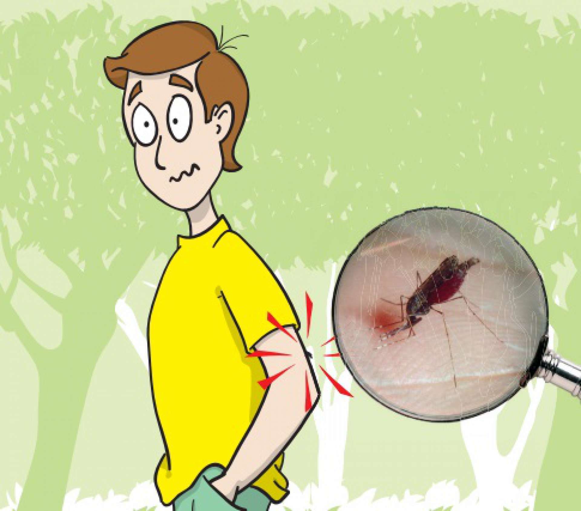 Malária: o que é, causas, sintomas, tratamento, diagnóstico e prevenção ...
