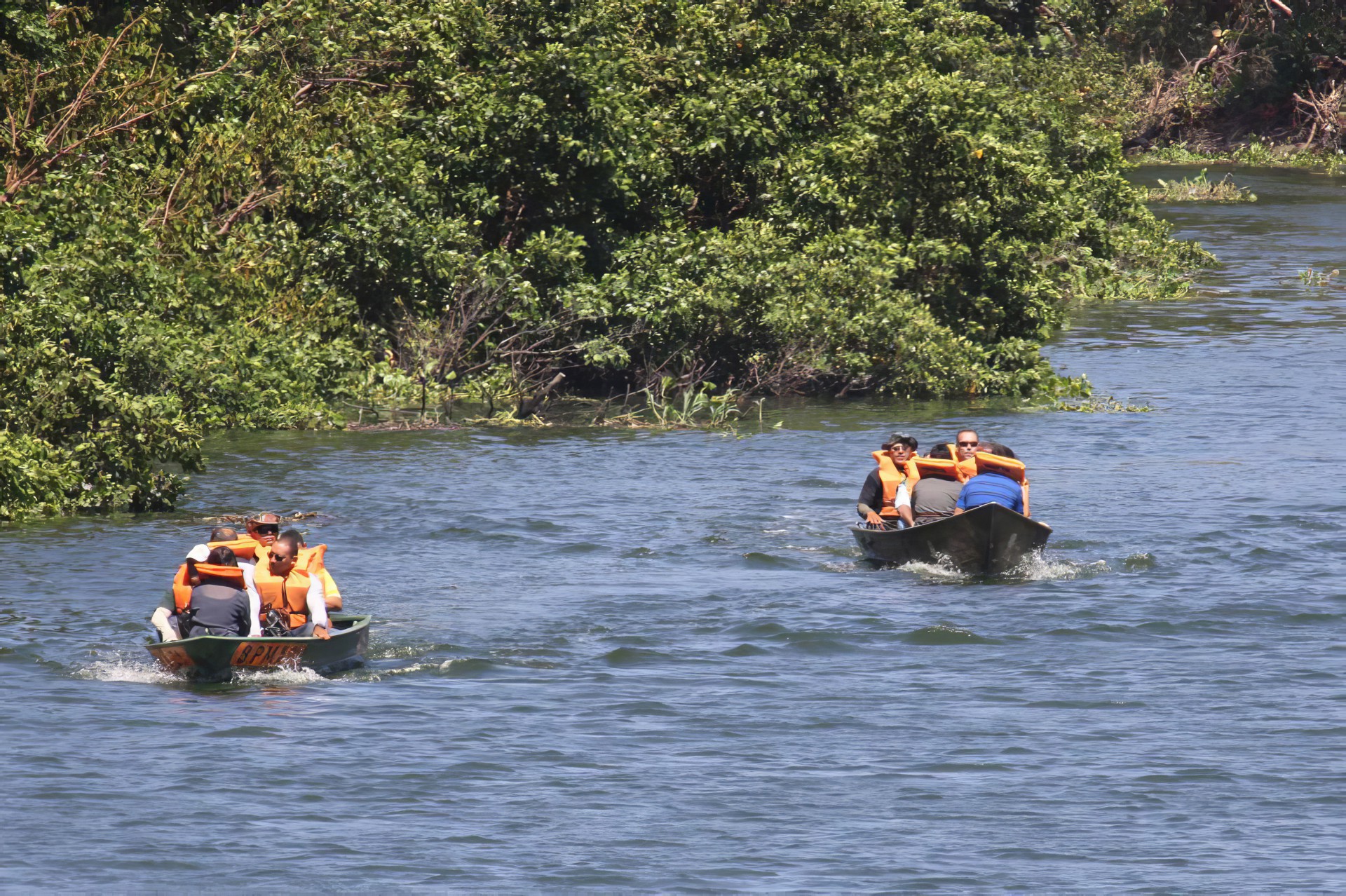 Parque Estadual do Cocó ganha Plano de Manejo | Eliomar de Lima | OPOVO+