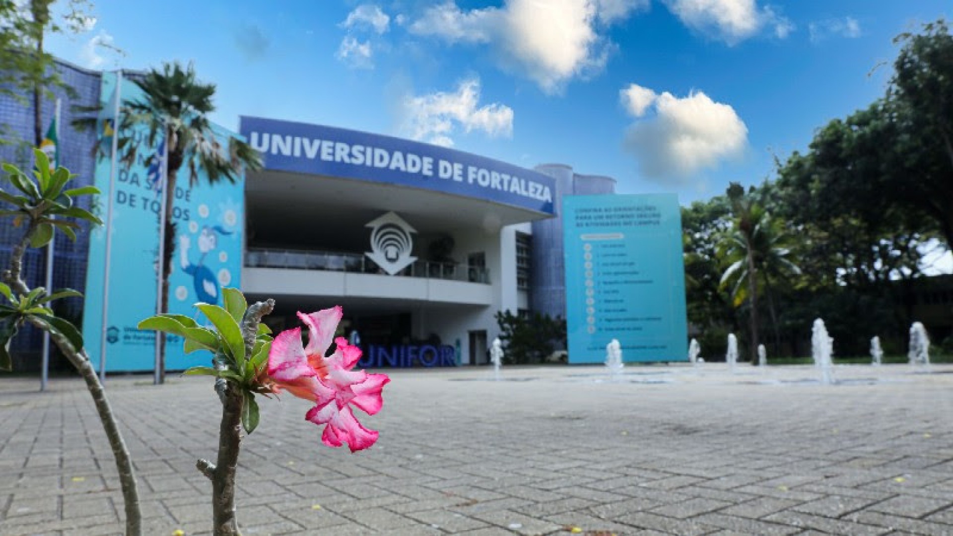Universidades e faculdades particulares voltam presenciais em agosto