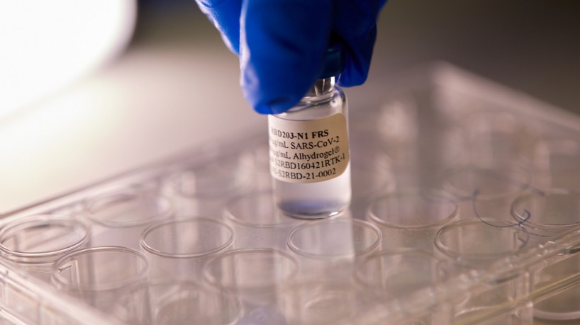 Corbevax: a vacina contra a Covid-19 desenvolvida para a saúde global