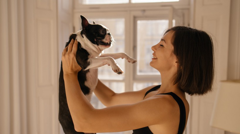 Estudo comprova que cães "choram de felicidade" ao reencontrarem seus ...