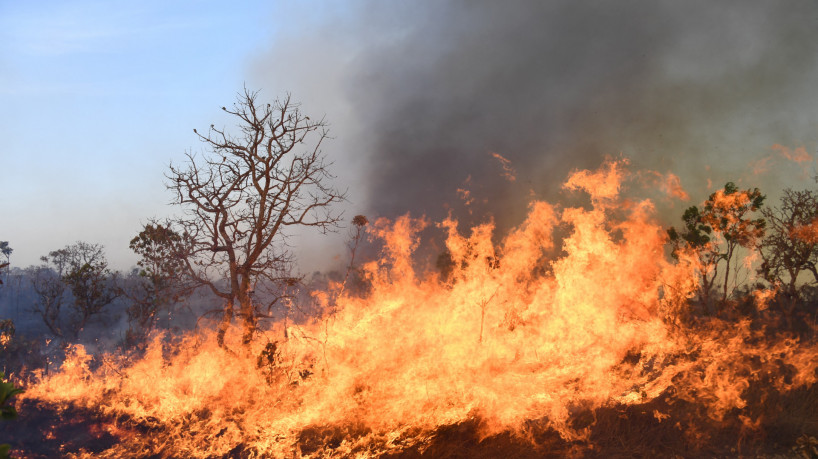 Grande incêndio, favorecido pela seca, afeta Parque Nacional de Brasília