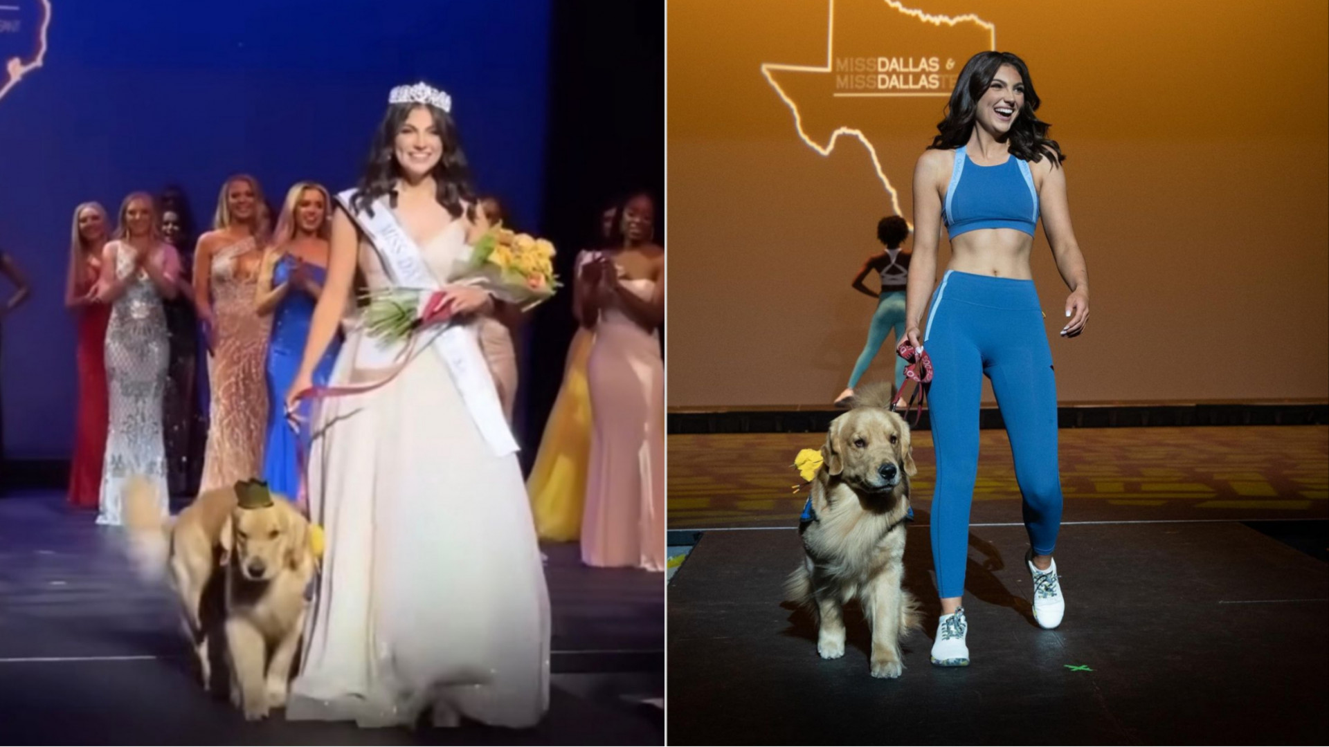 Relembre as notícias mais "fofinhas" e emocionantes de 2022