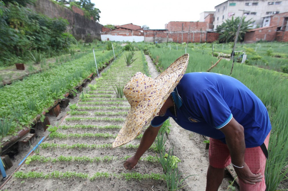 Governo Federal lança Desenrola Rural com descontos de até 96%
