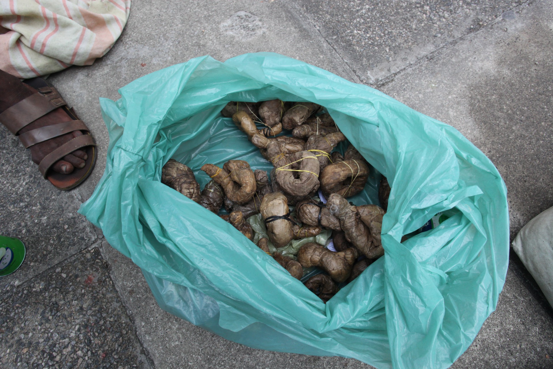 Homem vende esculturas de "cocô" no Centro de Fortaleza: "Estou ...