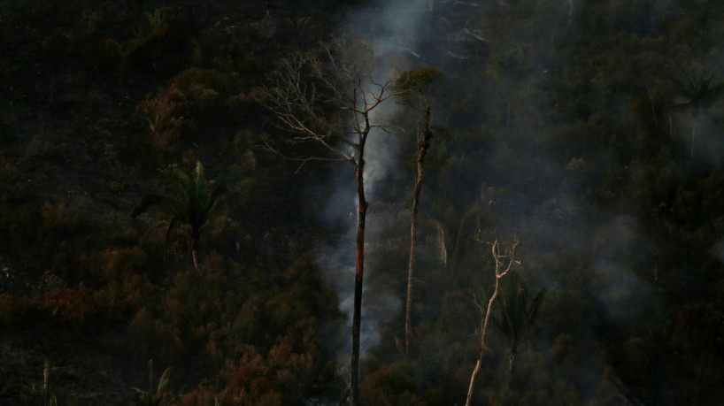 País teve 2,15 milhões de hectares queimados no primeiro semestre