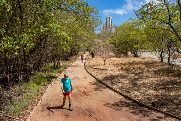 Parque do Cocó: visitantes relatam problemas nas trilhas