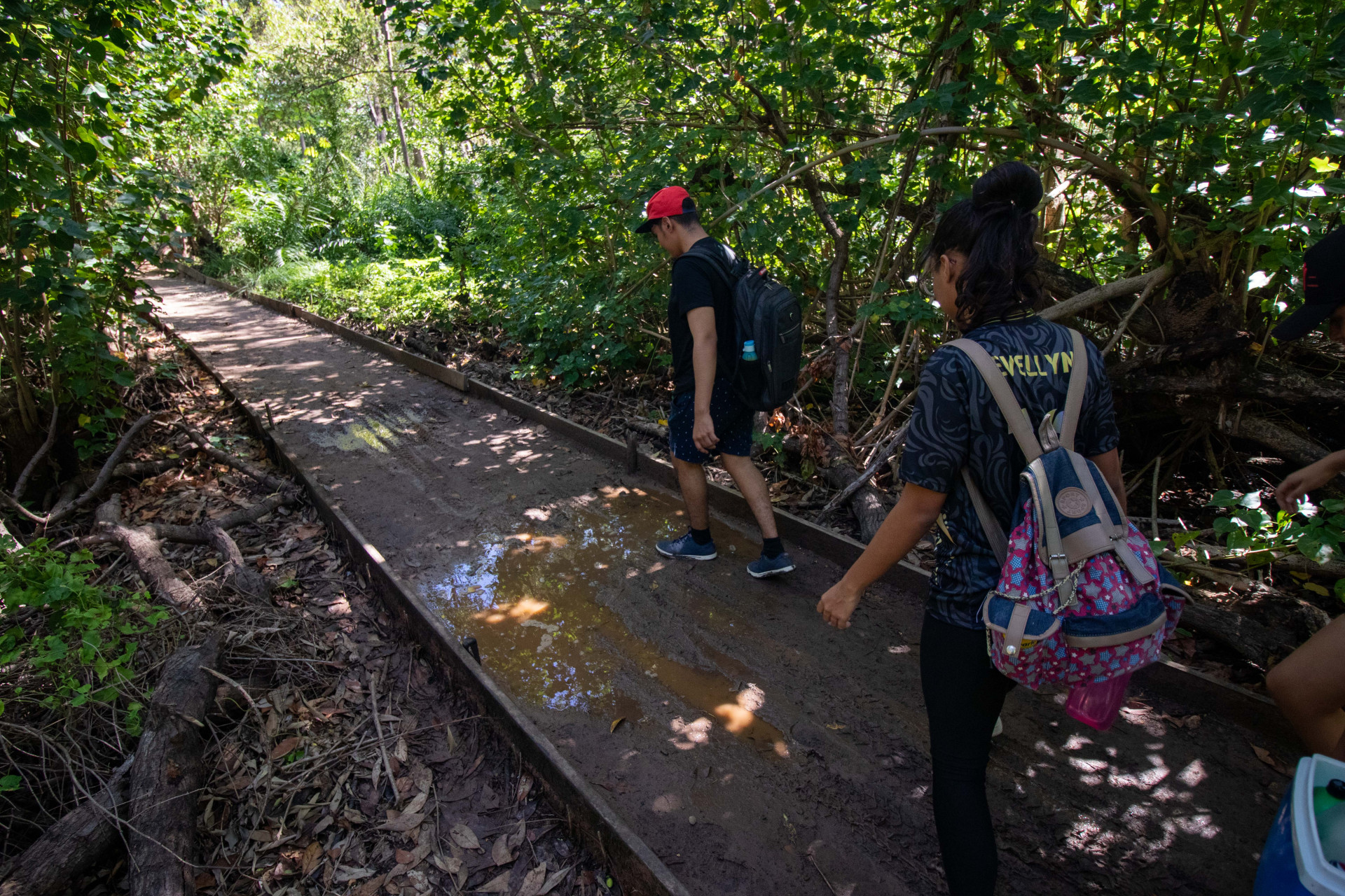 Parque do Cocó: visitantes relatam problemas nas trilhas