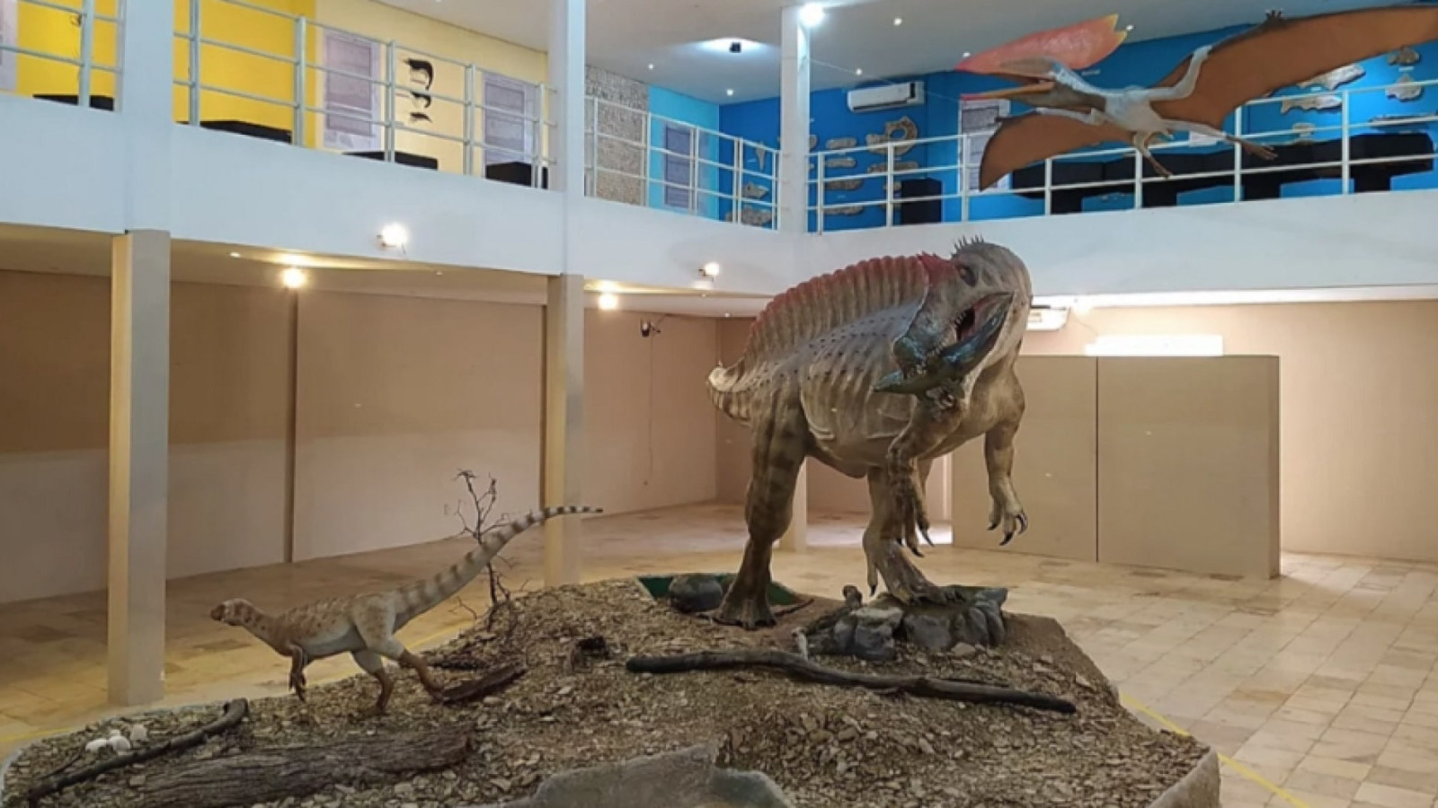 Ciência e interatividade: Museu de Paleontologia do Cariri inaugura ...