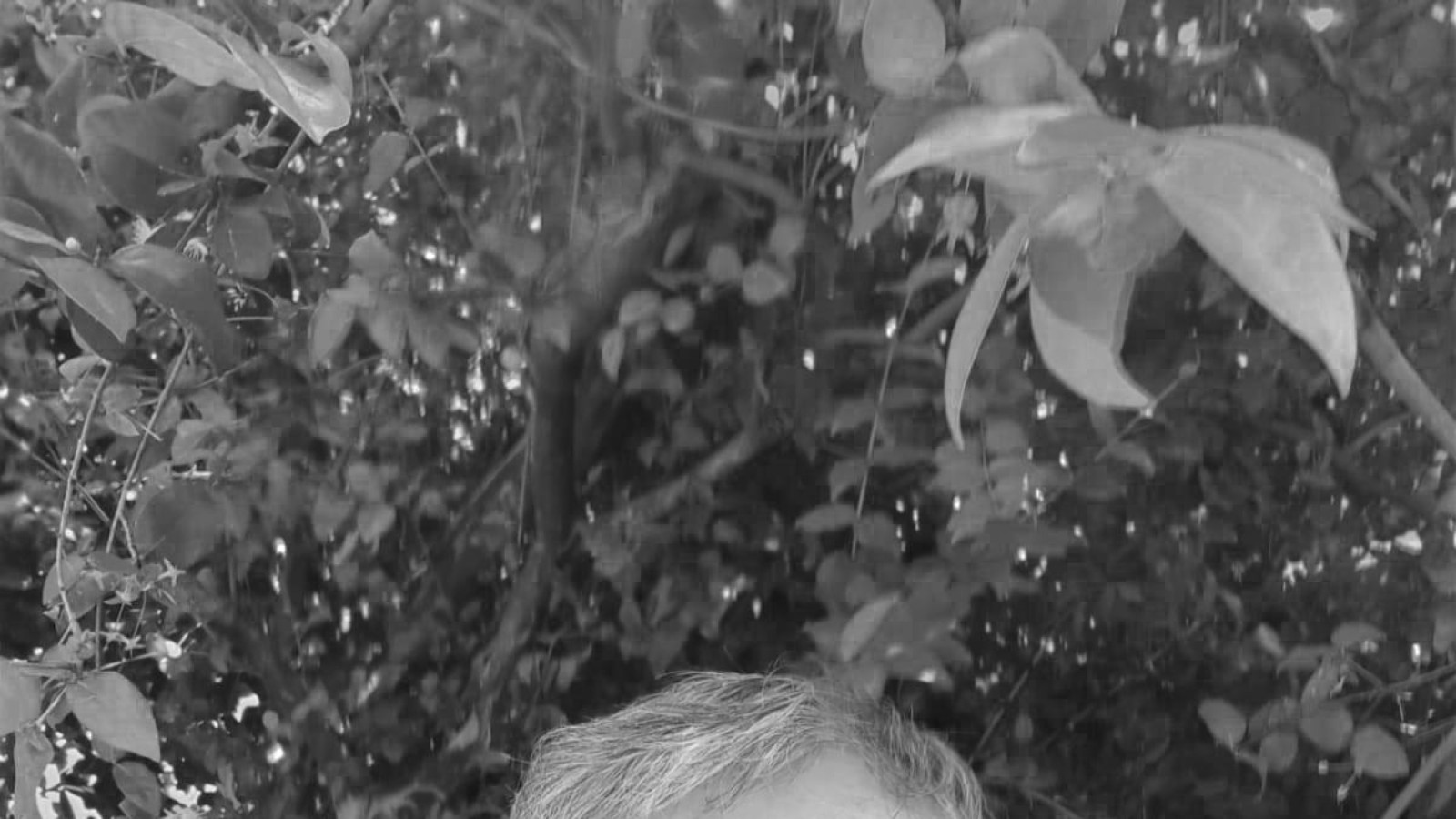 Daniel Raviolo: A outra educação: formar personalidades | Opinião | OPOVO+