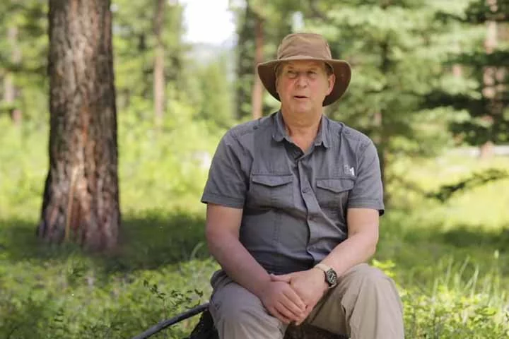 Equilíbrio e natureza: conheça alguns labirintos verdes ao redor do mundo