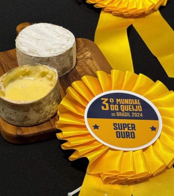 Conheça o queijo brasileiro que foi eleito o melhor do mundo