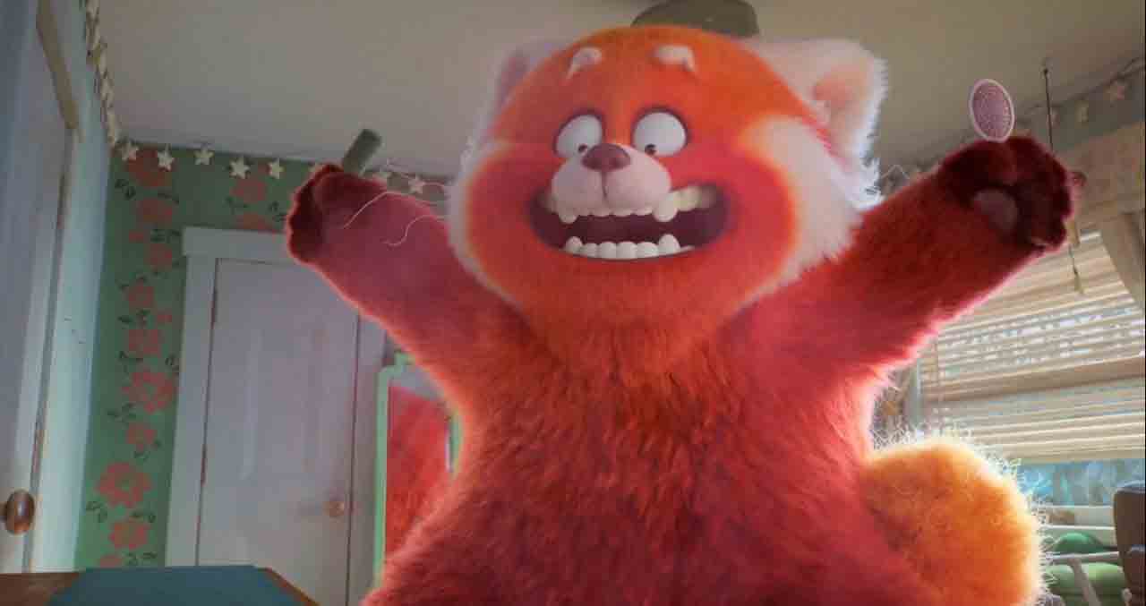 Conheça o Panda-Vermelho: Espécie marcou presença em produções da Disney