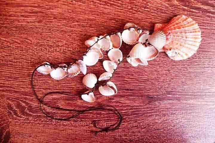 Confira a importância das conchas para o ecossistema marinho