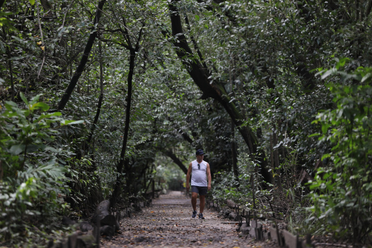 Trilhas do Parque Estadual do Cocó são reabertas para o público.