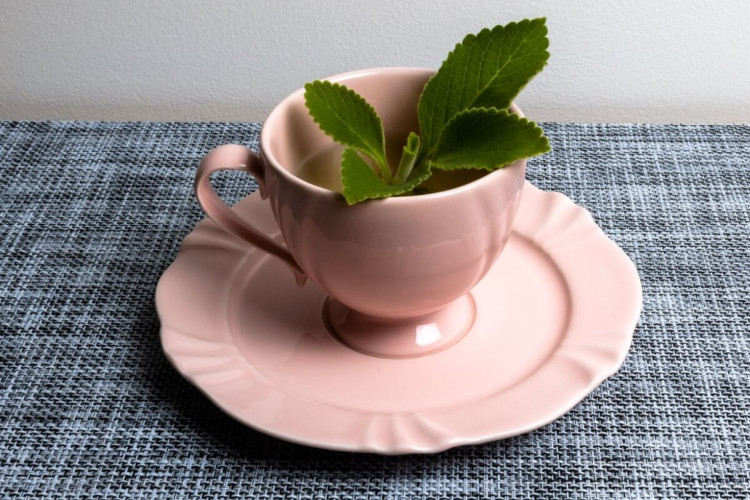 5 receitas de chá de boldo para melhorar a digestão