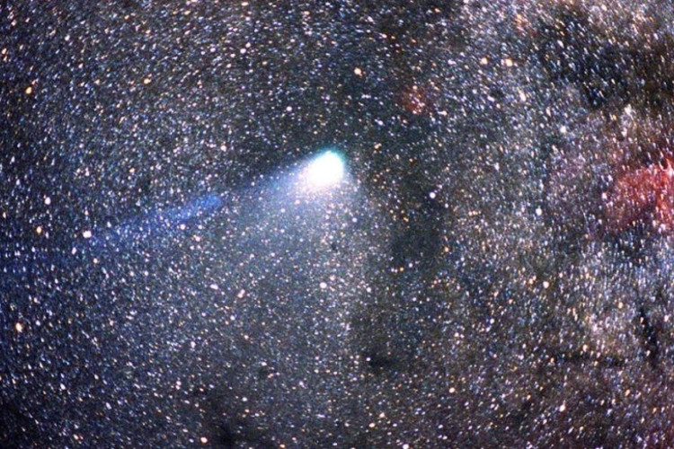 Cometa Halley: saiba como ver a chuva de meteoros hoje