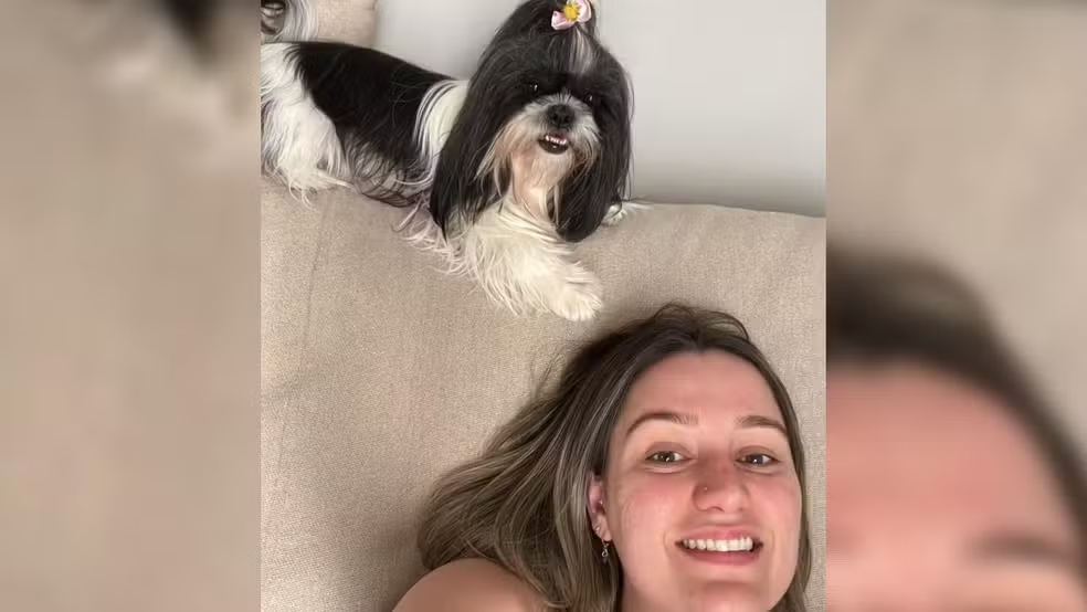 Shih tzu morre esquecida em carro de pet shop no interior paulista