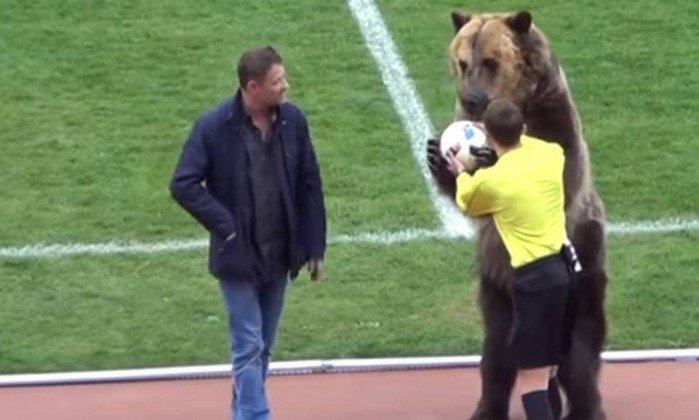 Urso Tim não participará de abertura da Copa da Rússia
