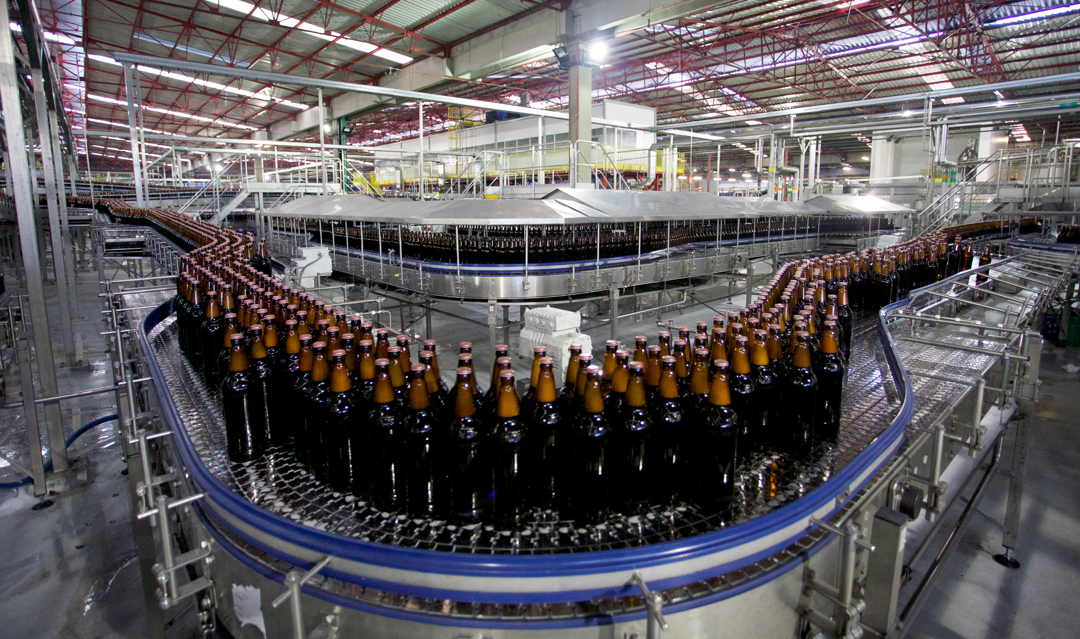 Cerveja comum x cerveja especial: um mercado em crescimento