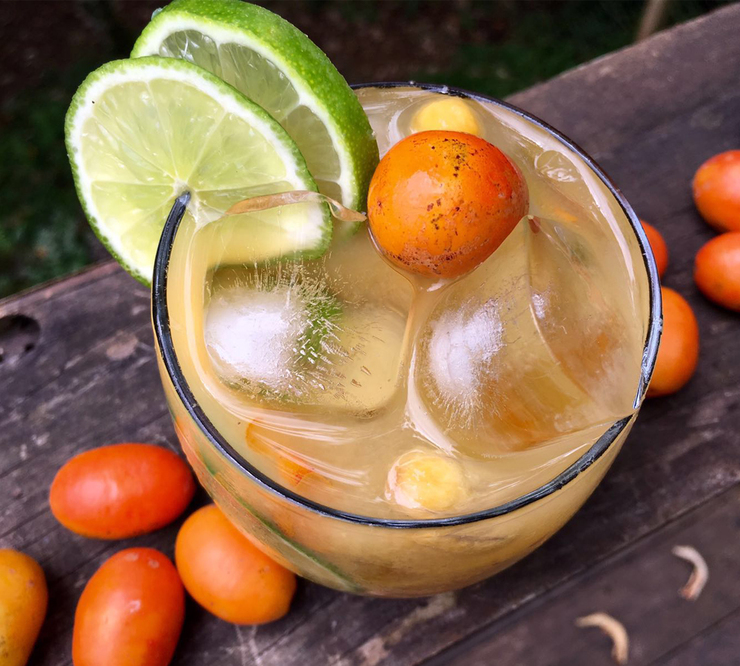 Sete receitas para quem adora ciriguela | O POVO Online